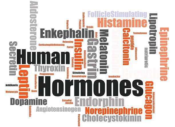 Leptin Hormone - Leptin Resistance